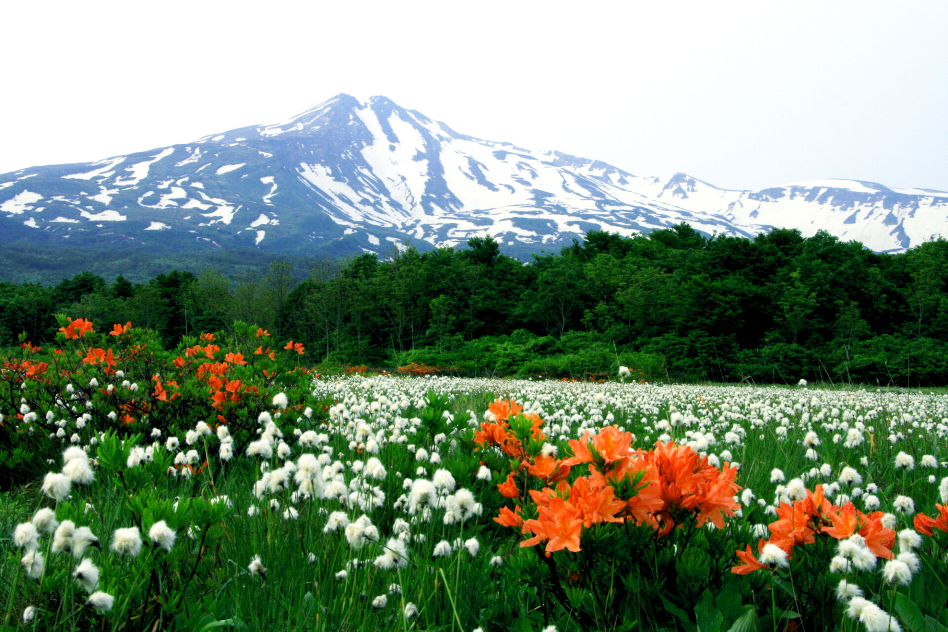 [Yurihonjo City, Akita Prefecture] Mt. Chokai/Tobishima Geopark ...